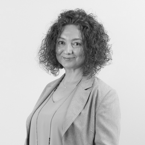 Ankon Consulting | TEAM